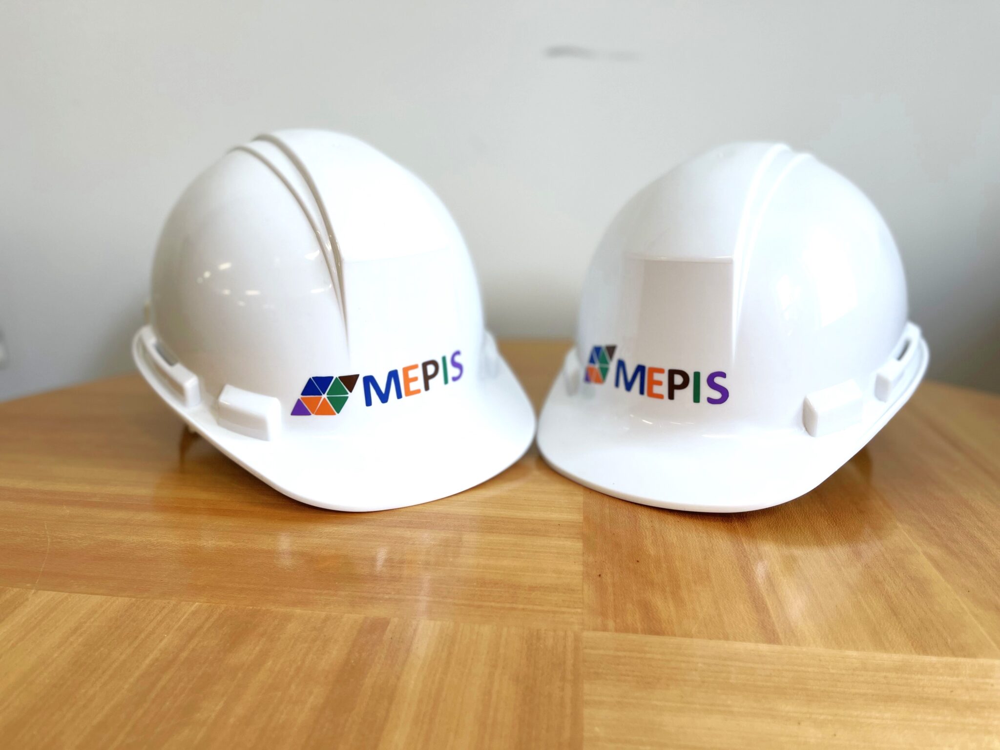 MEPIS Inc.